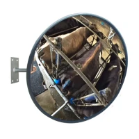 The Convex Mirror Shop