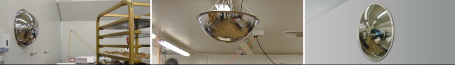 Stainless Steel Food Production Dome Mirrors